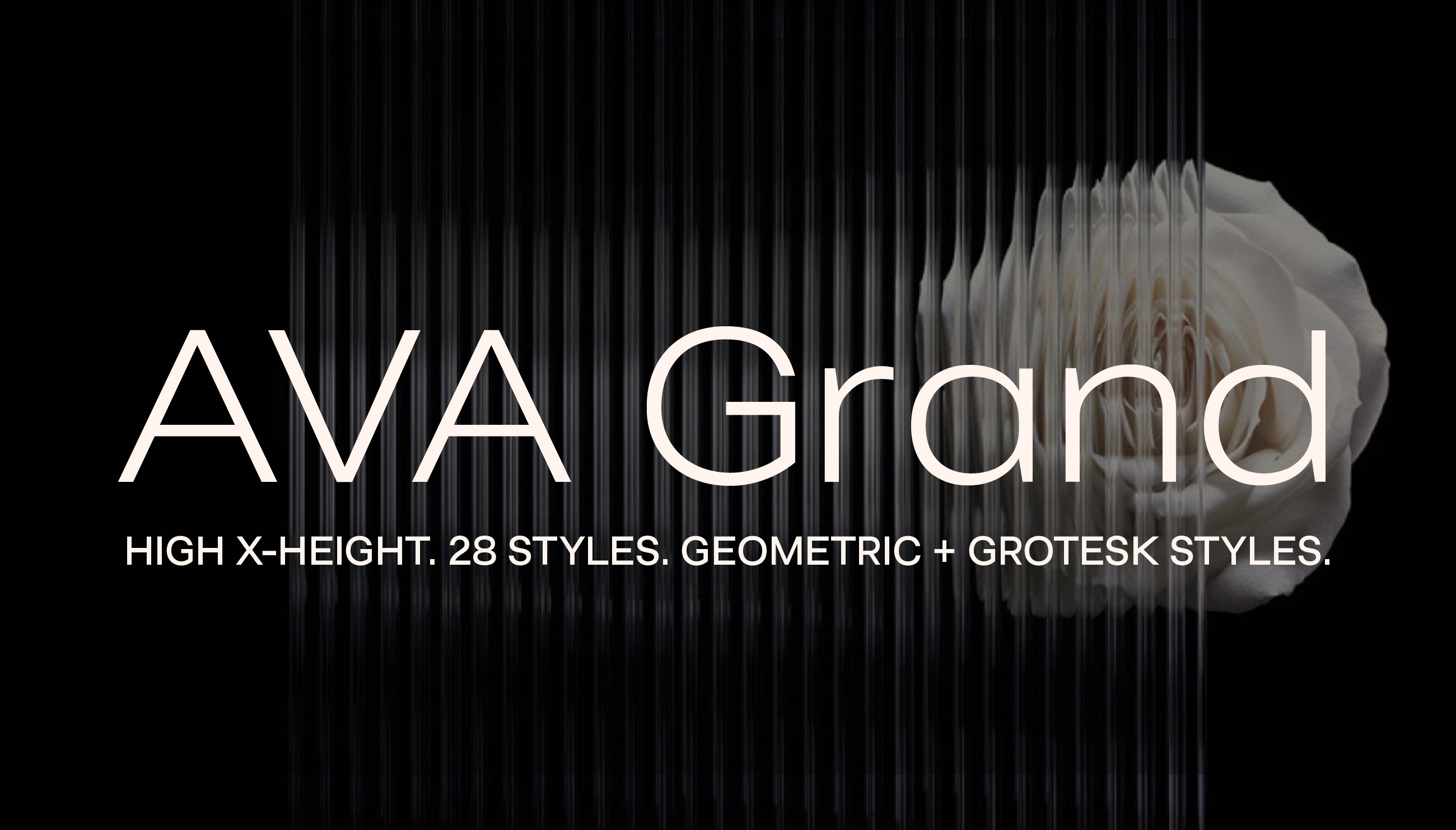 Type Designer / Matt Chansky